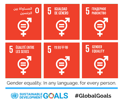 Building a foundation for collaboration on gender equality: Korean ...