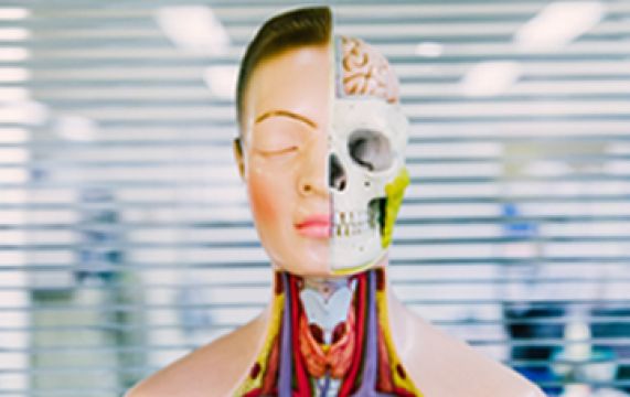 Human biology - Nursing and Midwifery