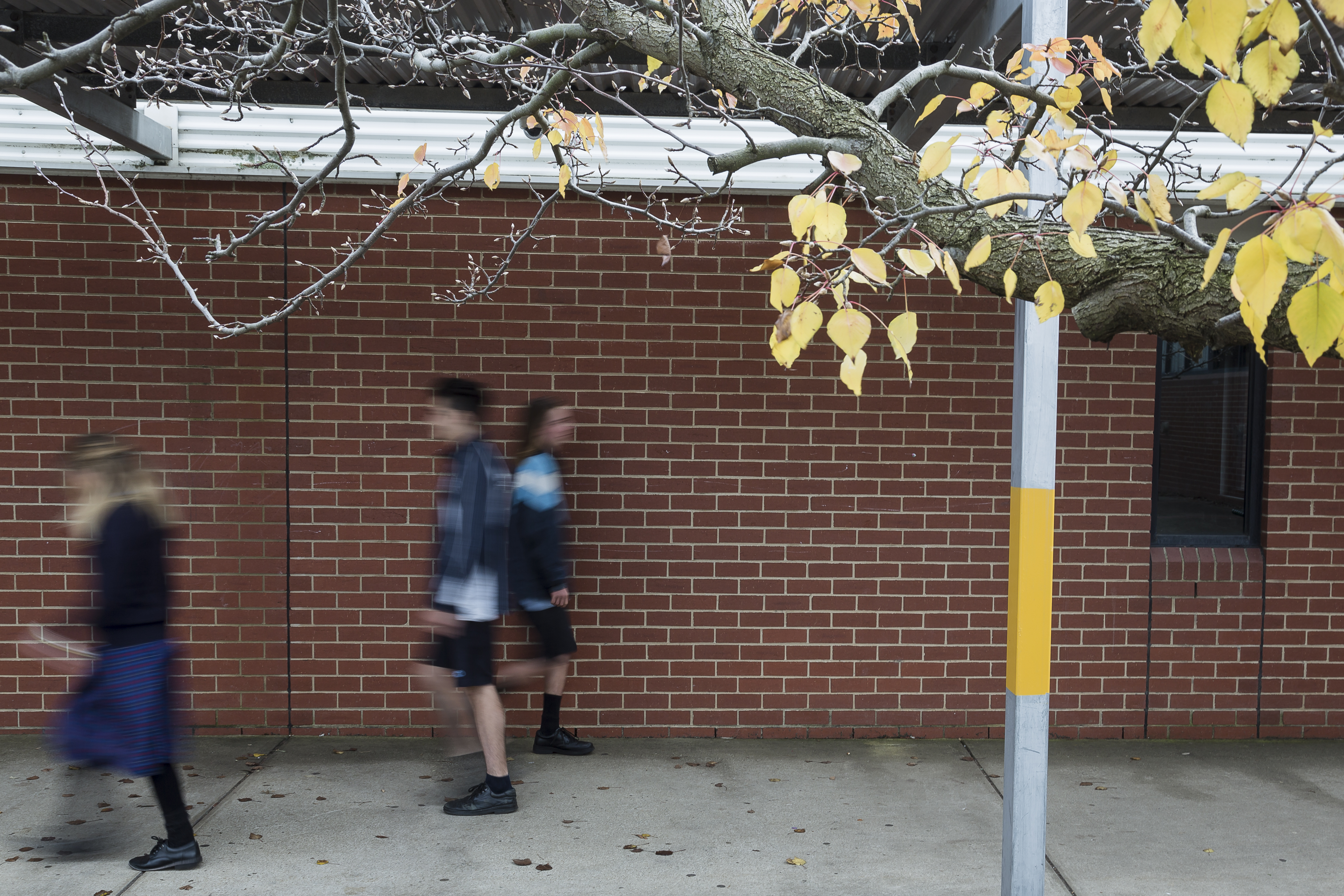 MS Powerpoint - Study at Monash University