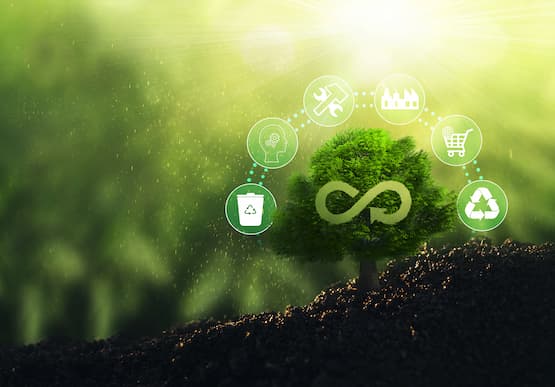 Monash Welcomes Australia’s Circular Economy Transition Progress | The ...