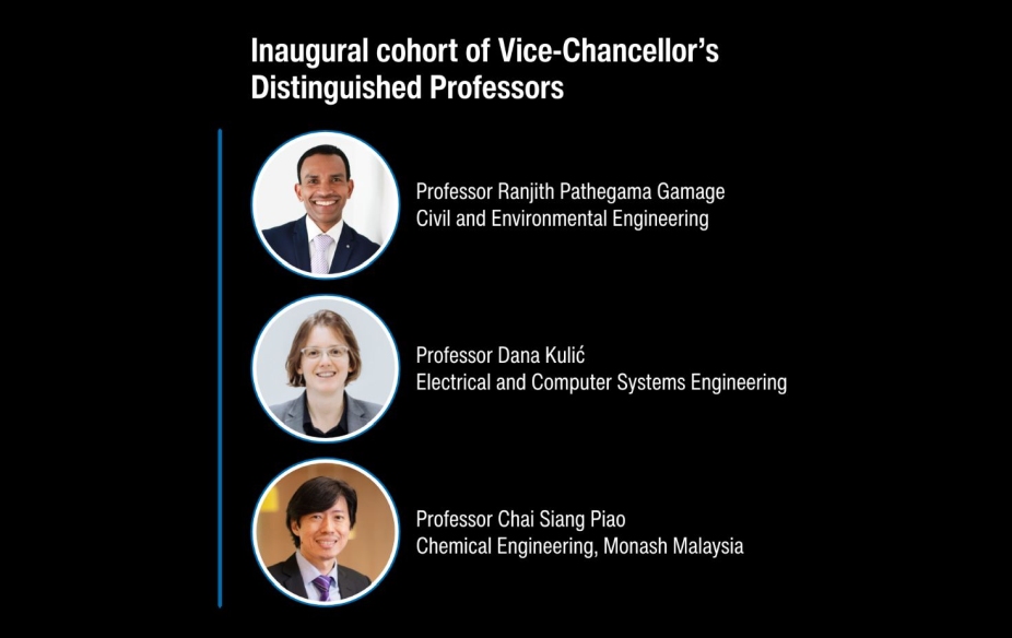 Inaugural cohort of Vice-Chancellor's Distinguished Professors ...