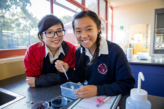 BioEYES program using Zebrafish to teach genetics expands to regional ...